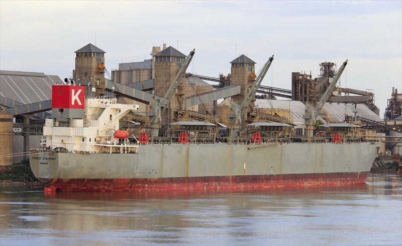 FOREST SYMPHONY - Vesseljoin