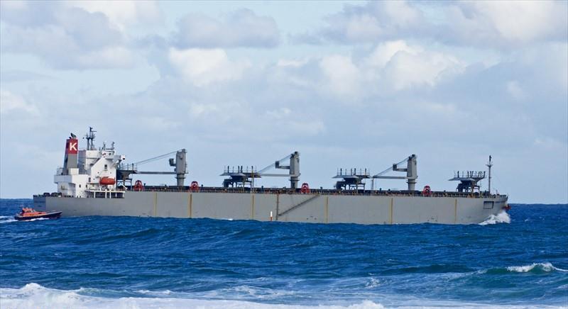 FOREST SYMPHONY - Vesseljoin