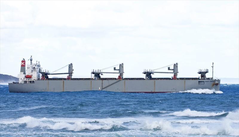 FOREST SYMPHONY - Vesseljoin