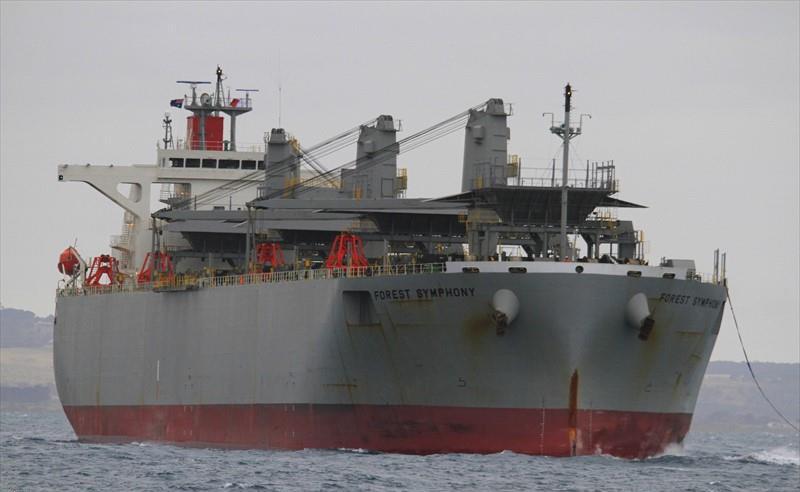 FOREST SYMPHONY - Vesseljoin