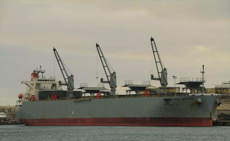 FOREST SYMPHONY - Vesseljoin