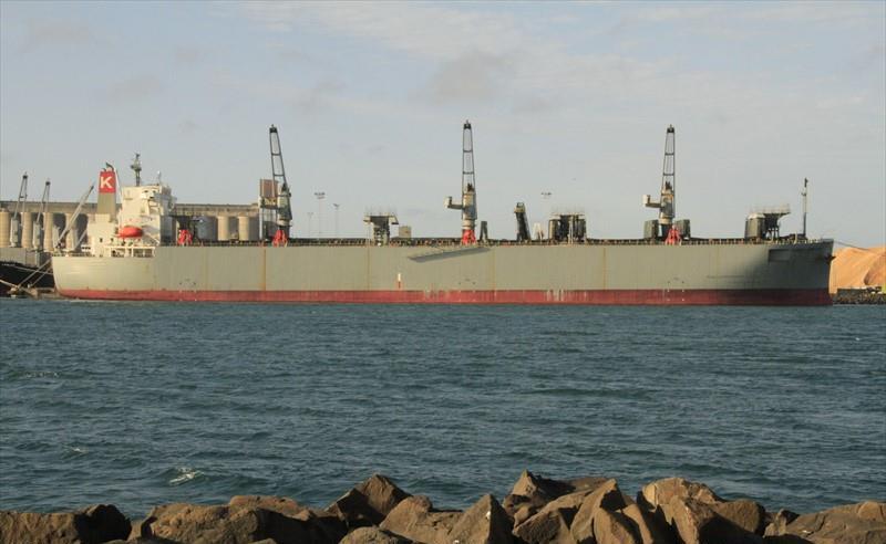 FOREST SYMPHONY - Vesseljoin