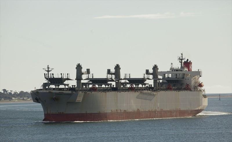 FOREST SYMPHONY - Vesseljoin