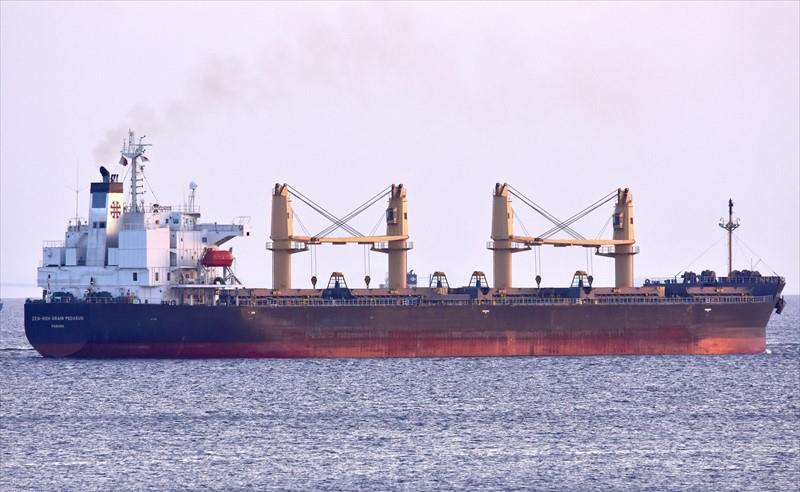 ZEN NOH GRAIN PEGASUS - Vesseljoin