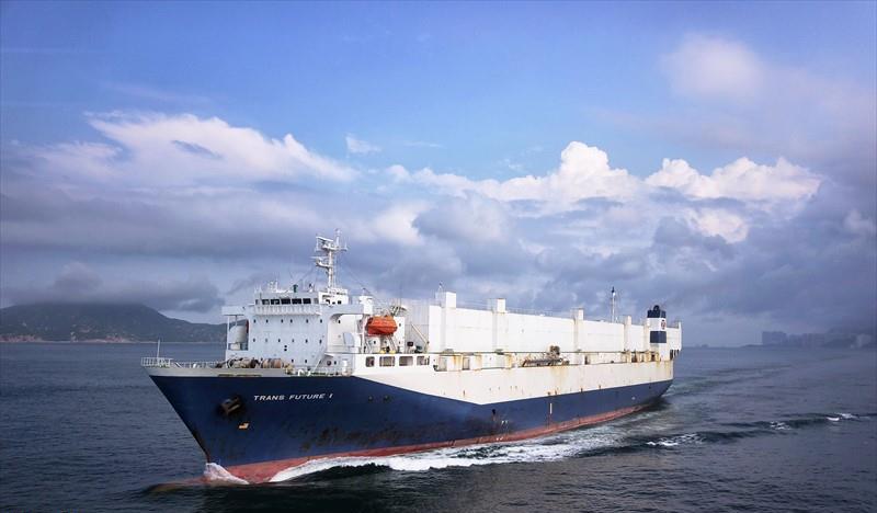 TRANS FUTURE 1 - Vesseljoin