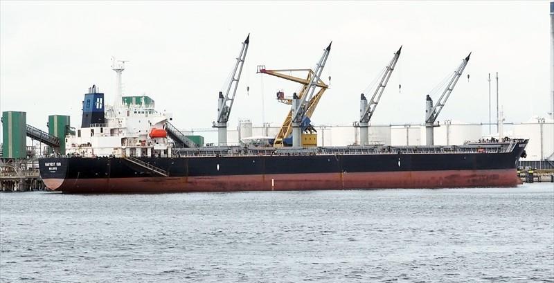 CAMELLIA - Vesseljoin