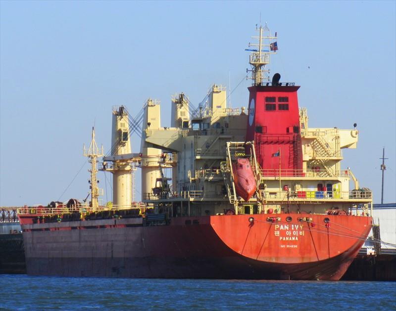 PAN IVY - Vesseljoin