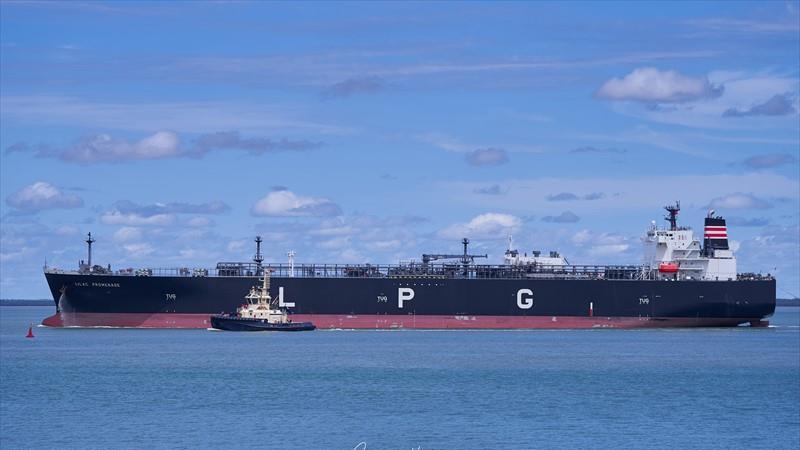 LILAC PROMENADE - Vesseljoin