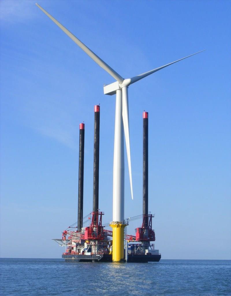 BULL RAY - Vesseljoin