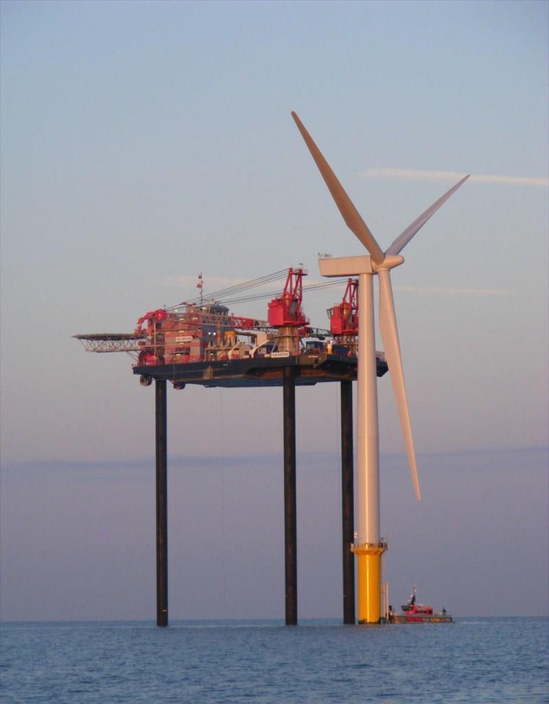 BULL RAY - Vesseljoin