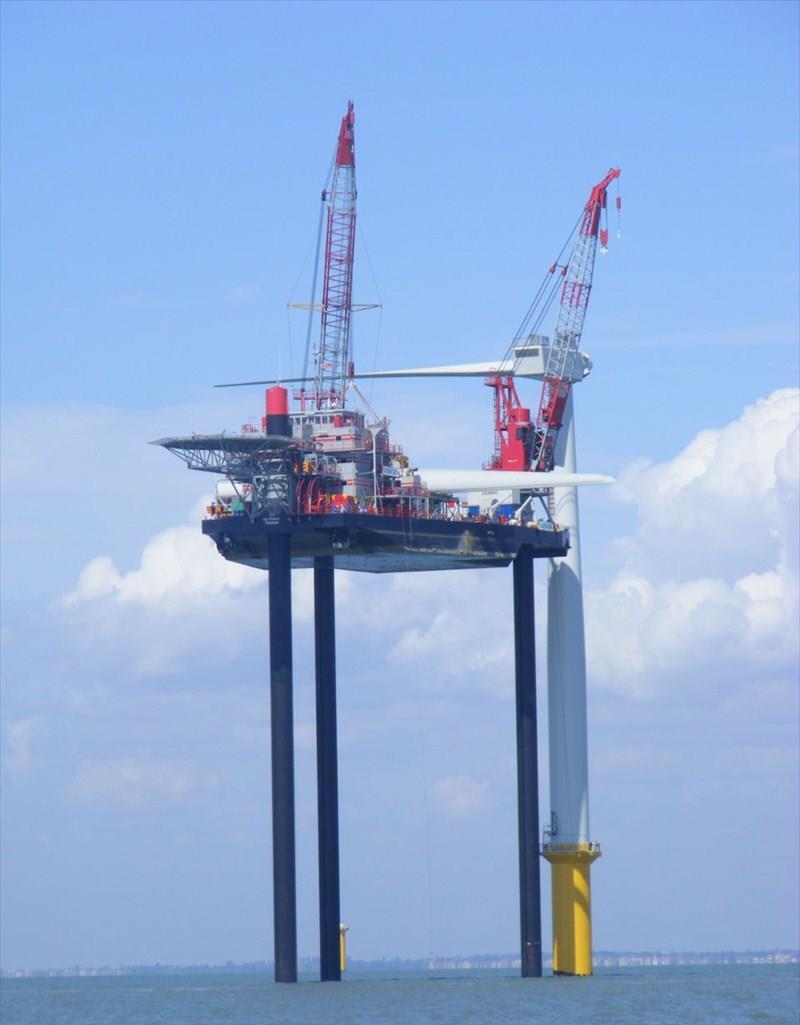 BULL RAY - Vesseljoin