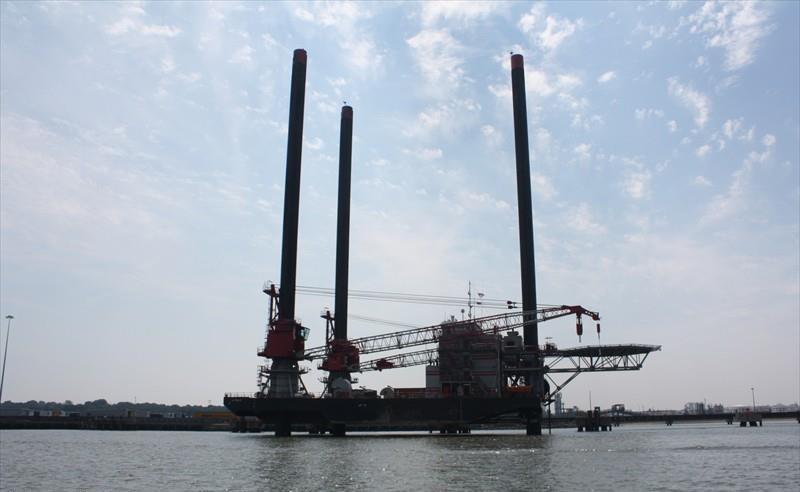 BULL RAY - Vesseljoin