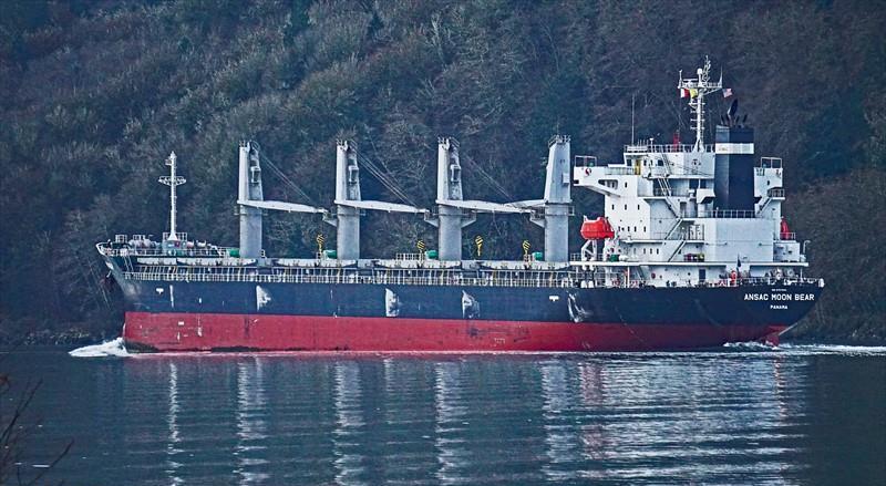 ANSAC MOON BEAR - Vesseljoin