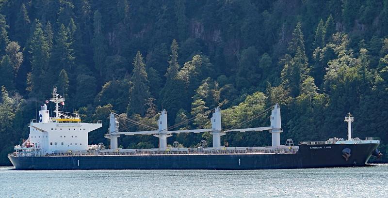 AFRICAN LION - Vesseljoin