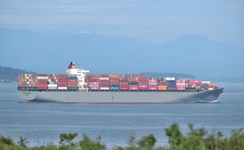 SEATTLE BRIDGE - Vesseljoin