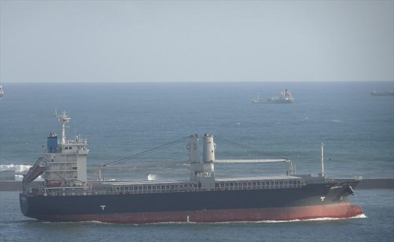 CREST CRANE - Vesseljoin