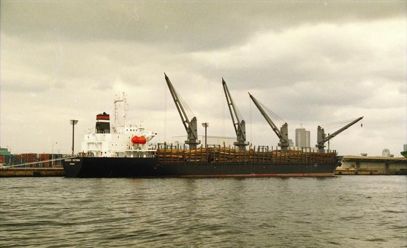 BMC CALYPSO - Vesseljoin