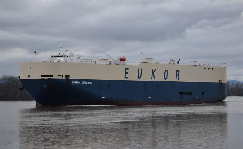 MORNING CATHERINE - Vesseljoin