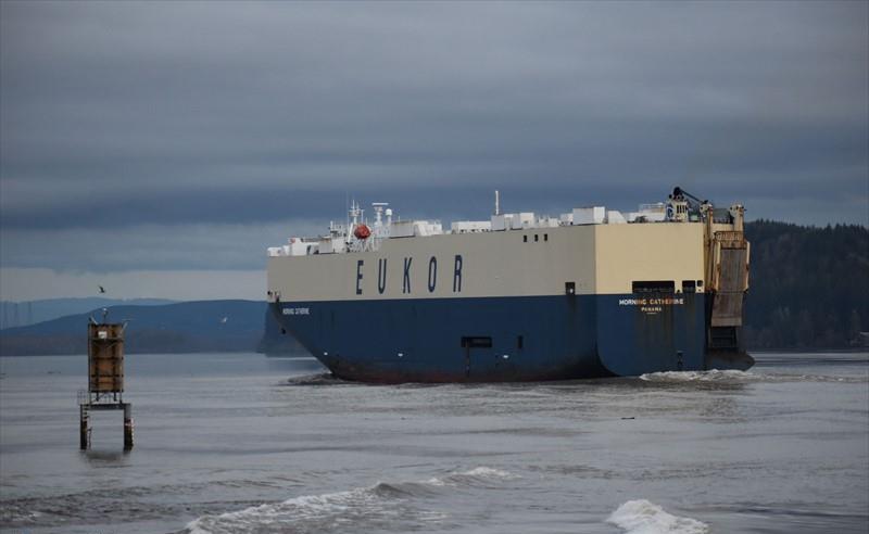 MORNING CATHERINE - Vesseljoin