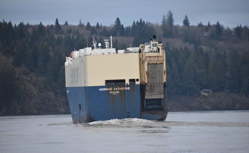 MORNING CATHERINE - Vesseljoin