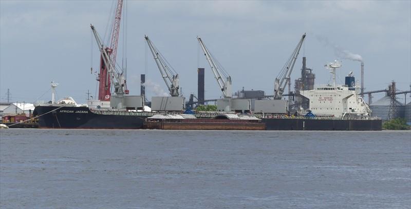 AFRICAN JACANA - Vesseljoin