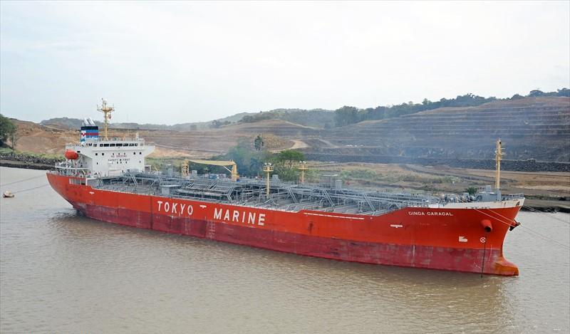 GINGA CARACAL - Vesseljoin