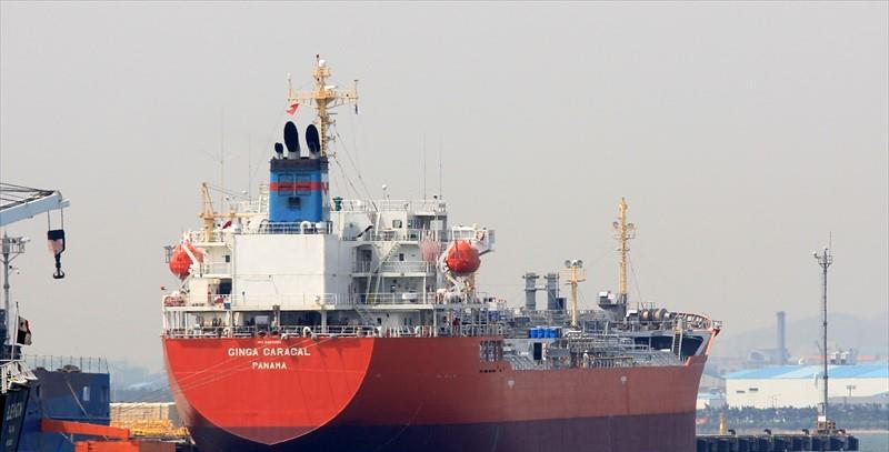 GINGA CARACAL - Vesseljoin