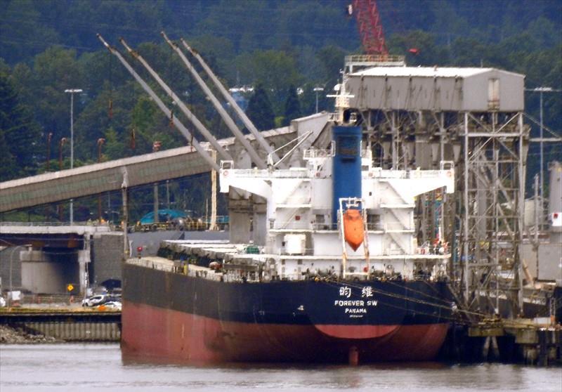 FOREVER SW - Vesseljoin