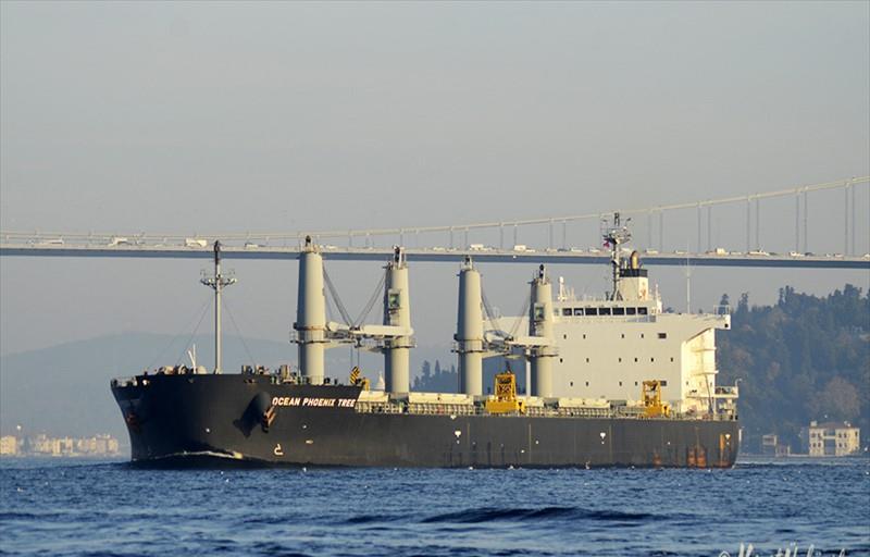 OCEAN PHOENIX TREE - Vesseljoin