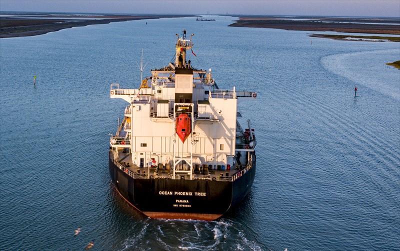 OCEAN PHOENIX TREE - Vesseljoin