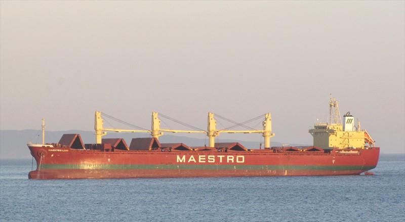 H SEALION - Vesseljoin