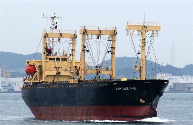 FORTUNE OCEAN (General Cargo) - IMO: 9010010 | Vessel Details