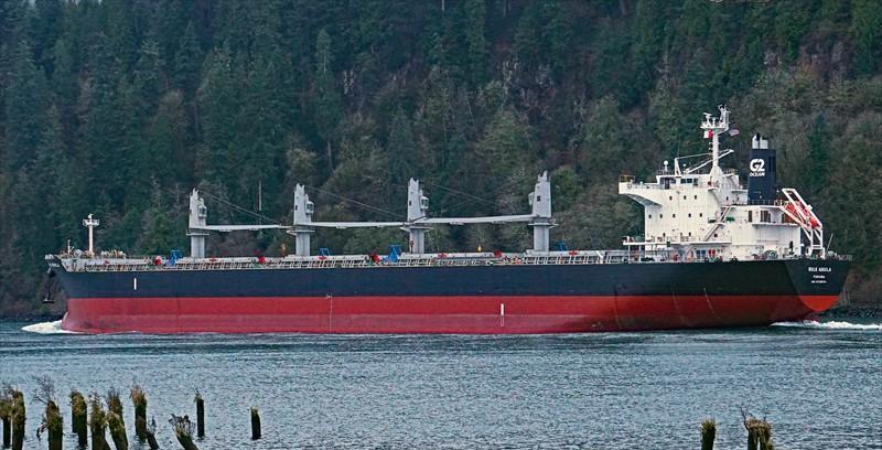 BULK AQUILA - Vesseljoin