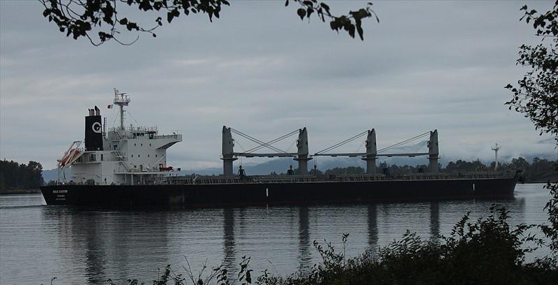 BULK CASTOR - Vesseljoin