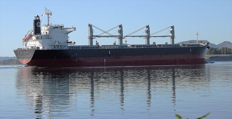 BULK CASTOR - Vesseljoin