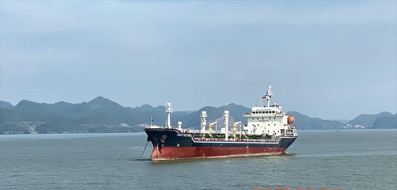 GREAT DOLPHIN - Vesseljoin