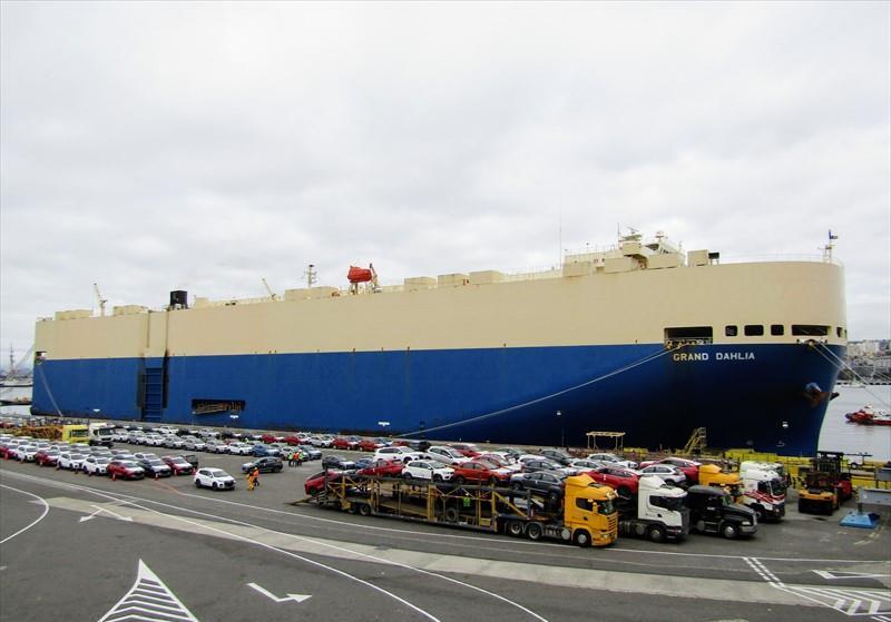 GRAND DAHLIA - Vesseljoin