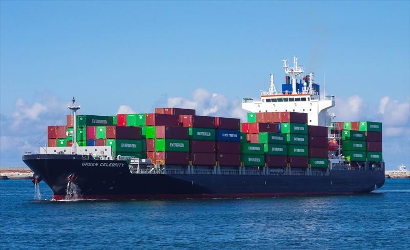 GREEN CELEBRITY - Vesseljoin