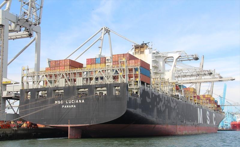 MSC LUCIANA - Vesseljoin