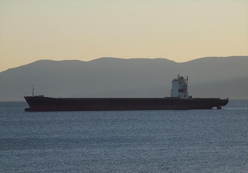 MSC SANDRA - Vesseljoin