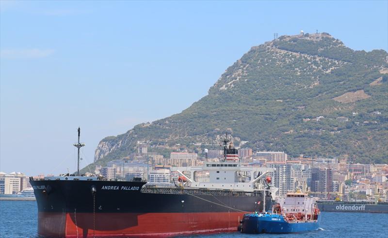 ANDREA PALLADIO - Vesseljoin