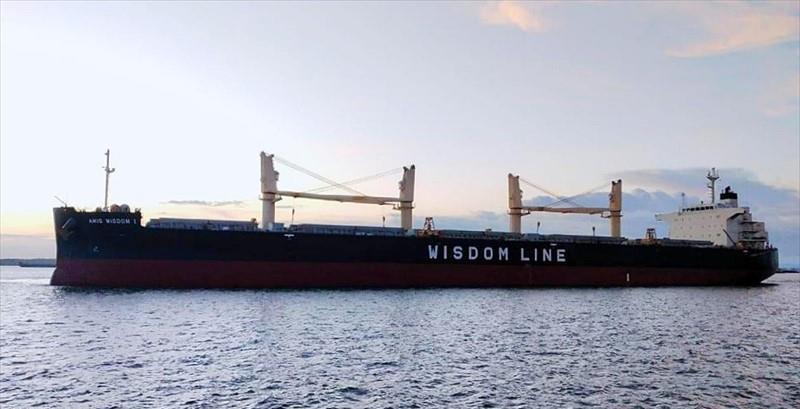 AMIS WISDOM I - Vesseljoin