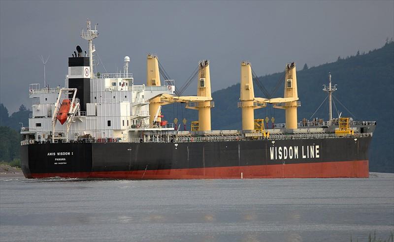 AMIS WISDOM I - Vesseljoin