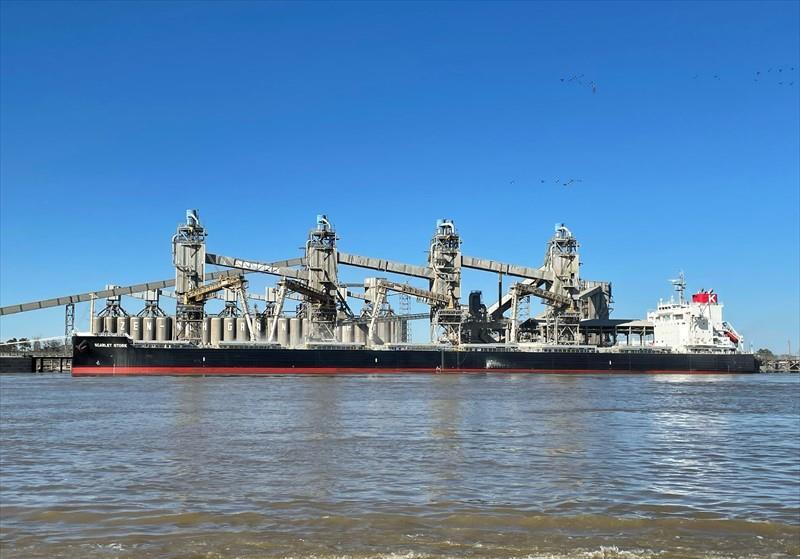 SCARLET STORK - Vesseljoin