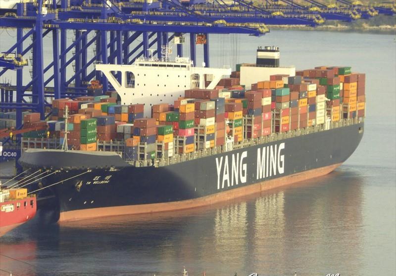 YM WELLBEING - Vesseljoin