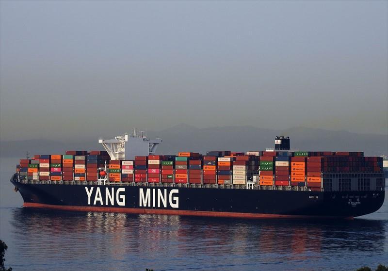 YM WELLBEING - Vesseljoin