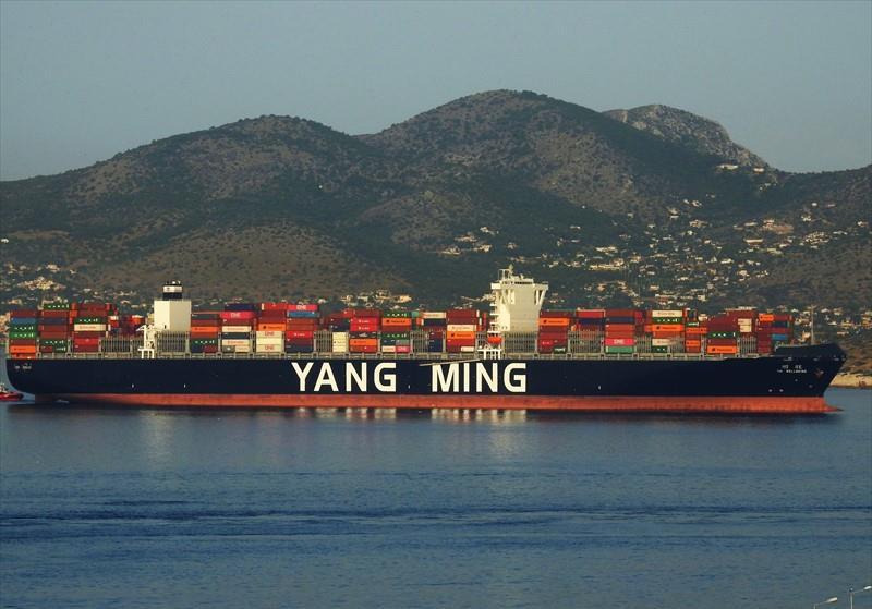 YM WELLBEING - Vesseljoin