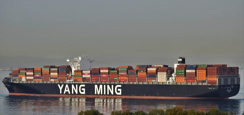 YM WELLBEING - Vesseljoin