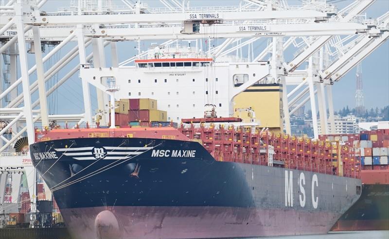 MSC MAXINE - Vesseljoin