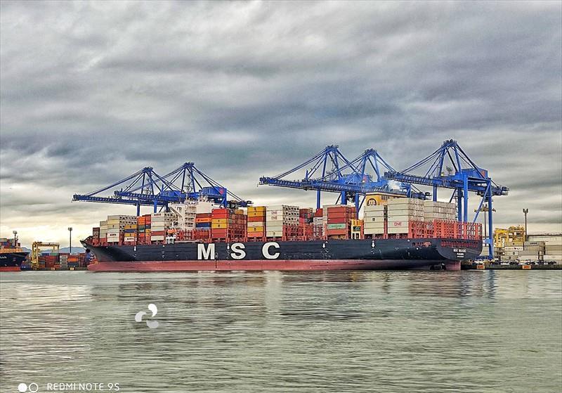 MSC MAXINE - Vesseljoin